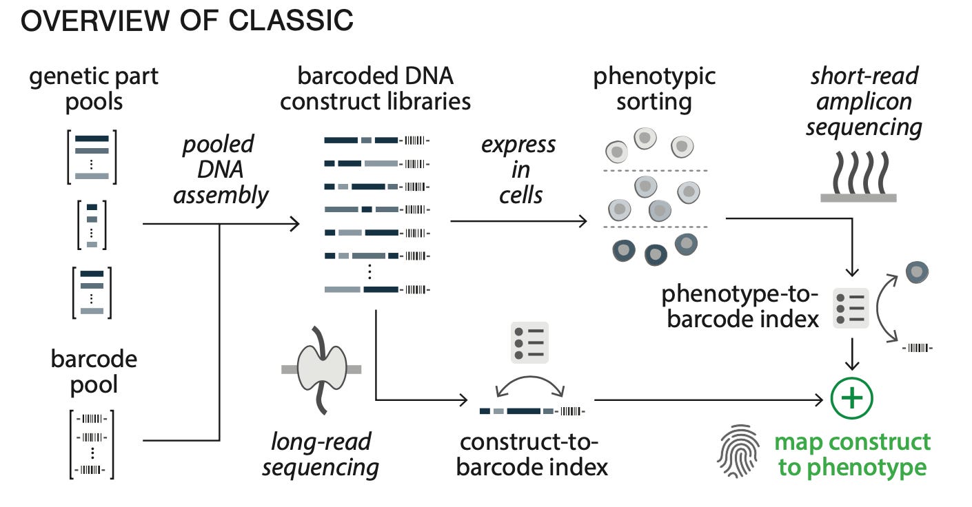Accelerating genetic design - by Elliot Hershberg