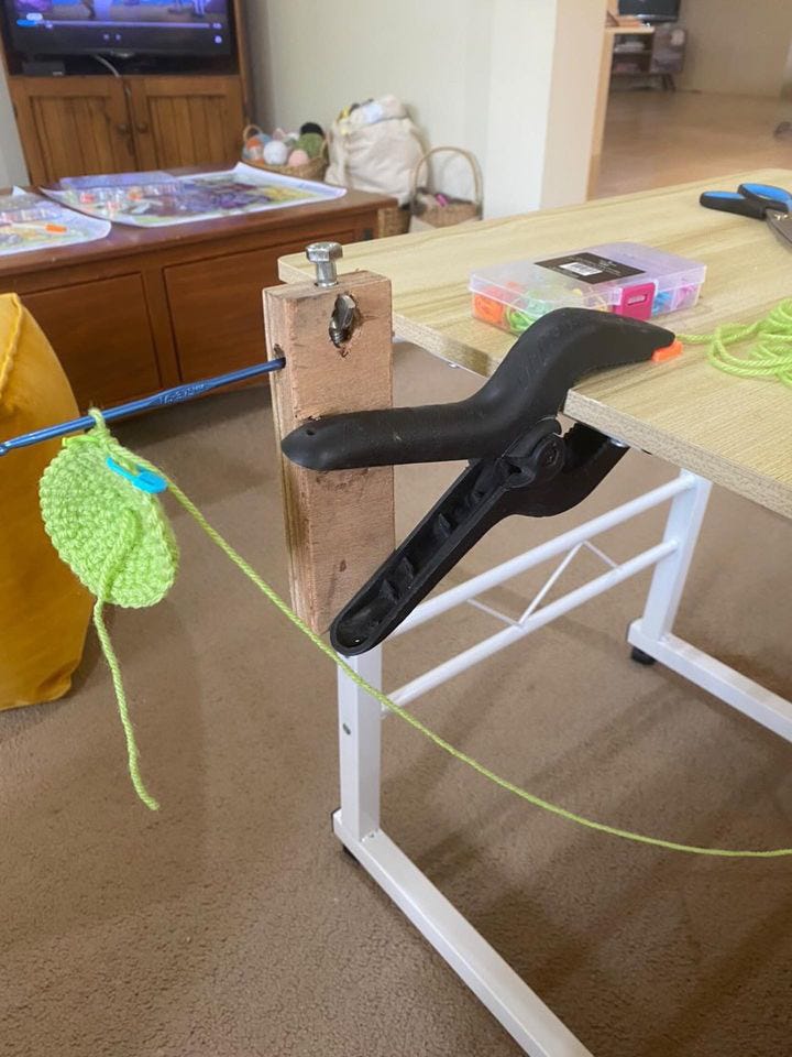 My first weekly post! - by Melon Flower