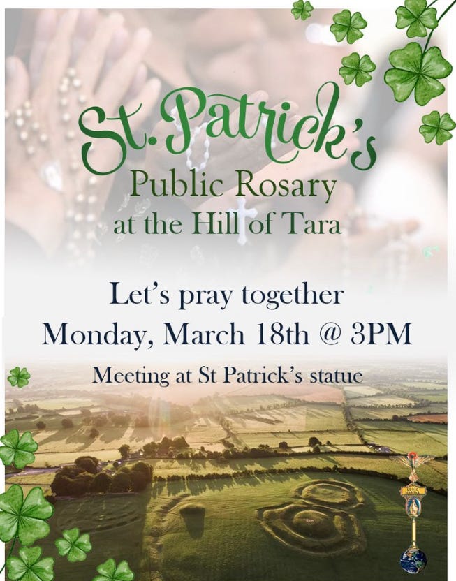Saint Patrick: Miracle Worker - by Gemma O’Doherty