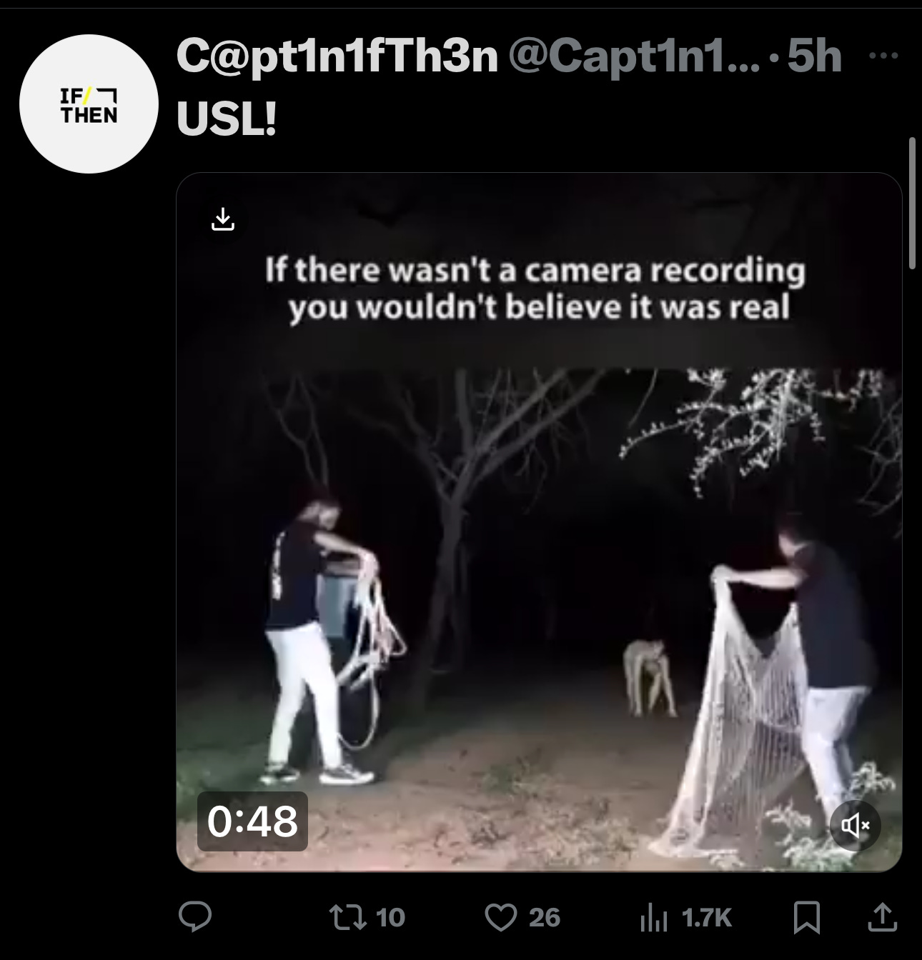 PART 1: Uncategorized Subterranean Lifeforms (USLs): Pale Crawlers ...