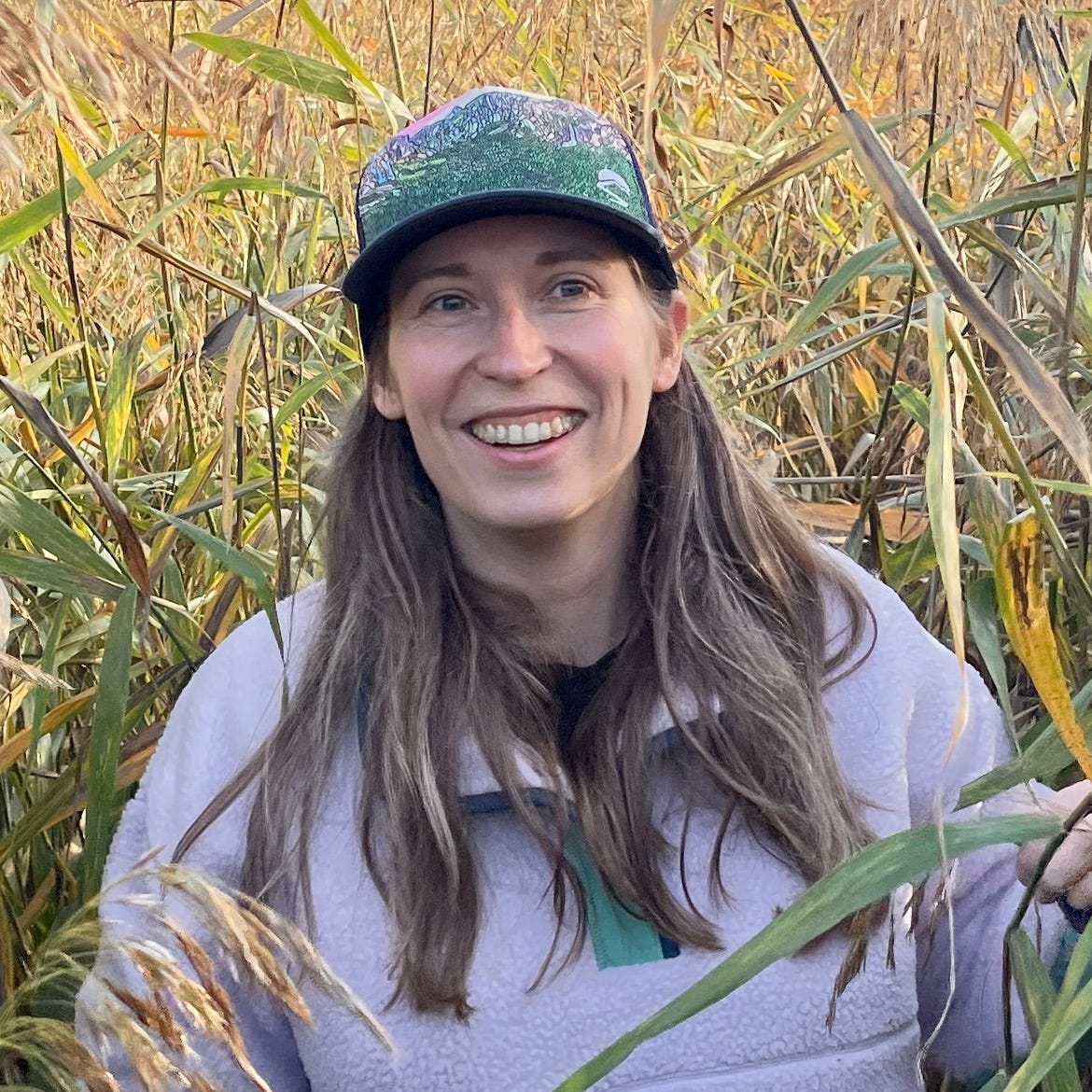 Janika Liiv | Substack