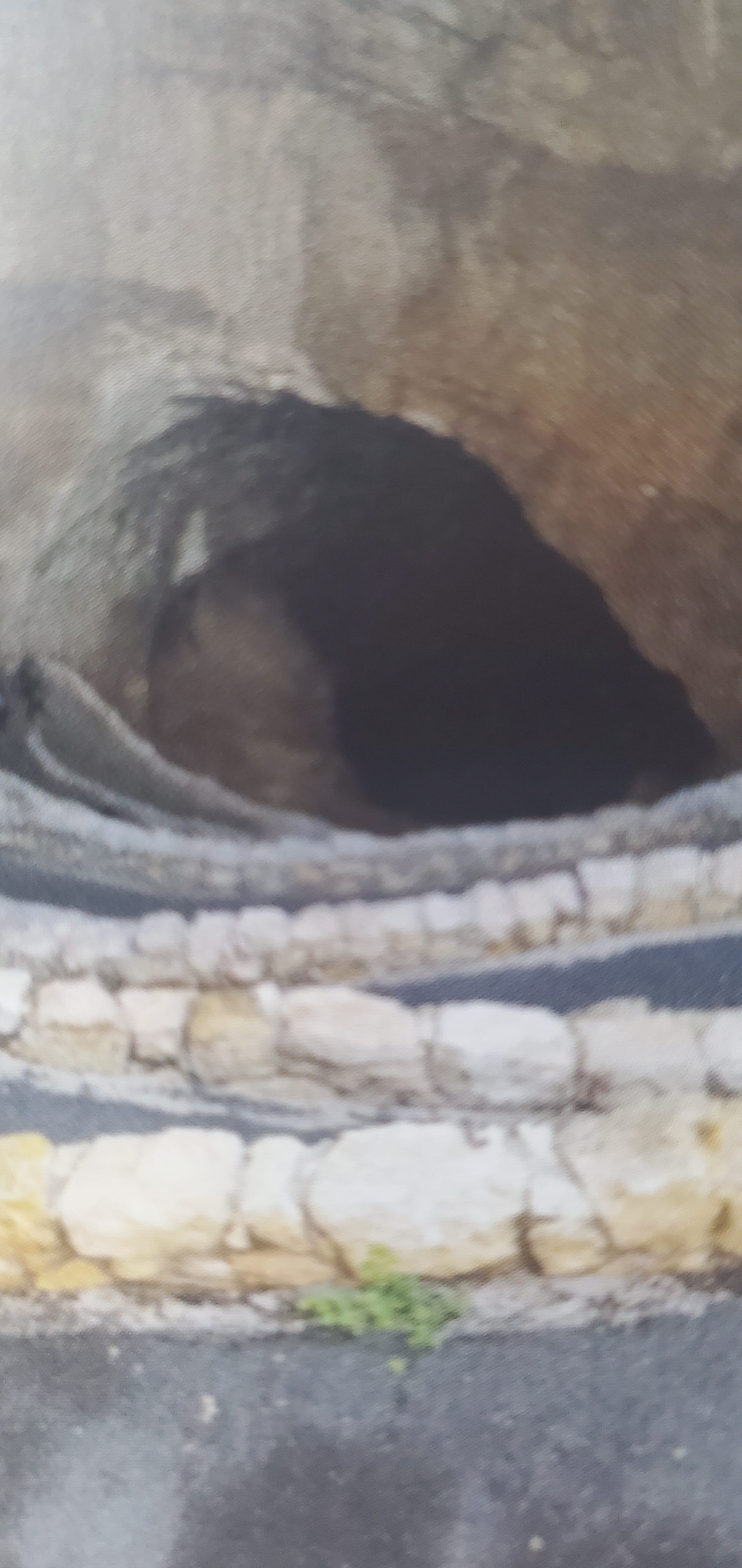 The Sacred Journey Beneath Our Feet - Victoria’s Substack