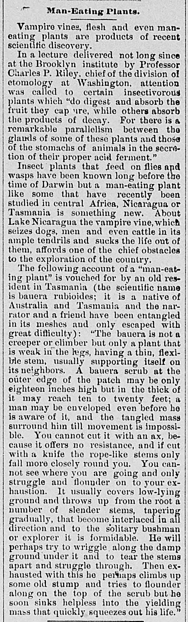 Man Eating Plants - by Odd Old News - Odd’s Substack