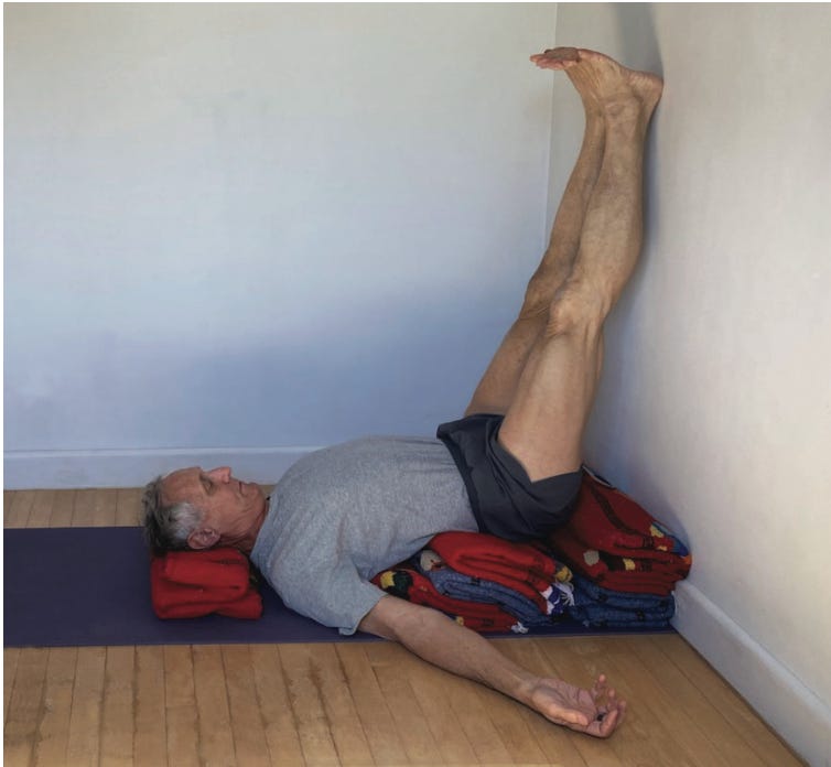 The Power of Inversions: Heart and Circulation Upside Down