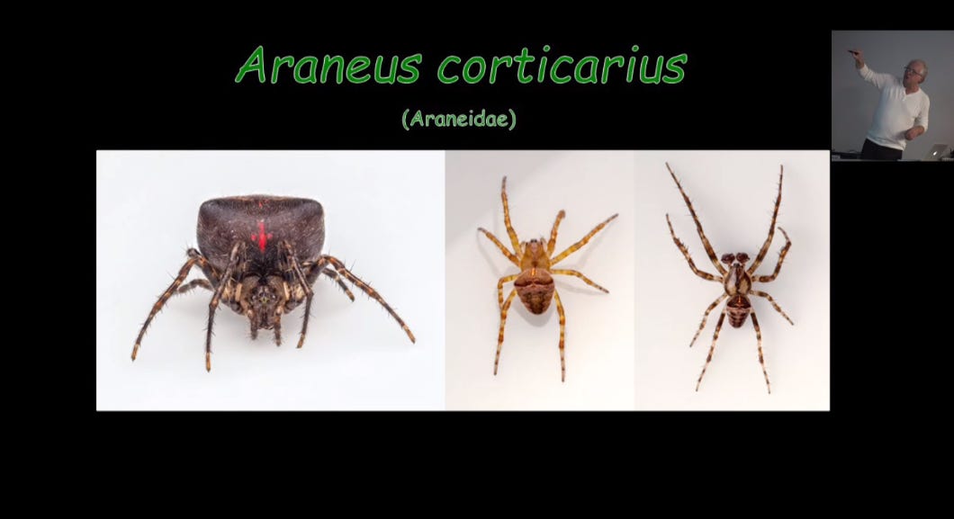 Nouvelle infolettre de la Vigile verte!