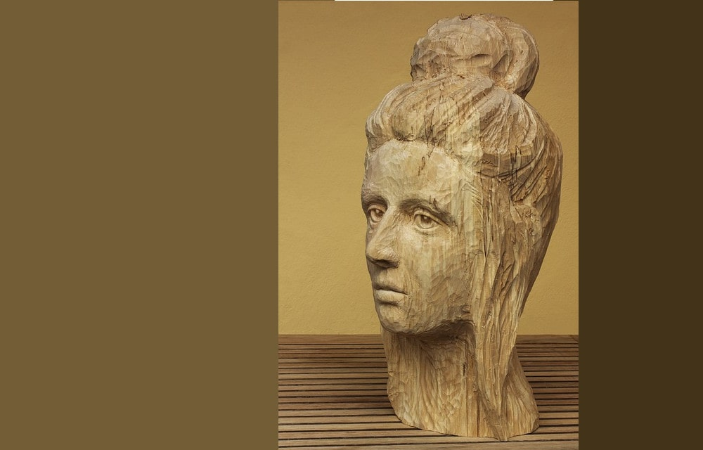 The Myth Of The Self-Carved Protagonist - by Leo Vaughn