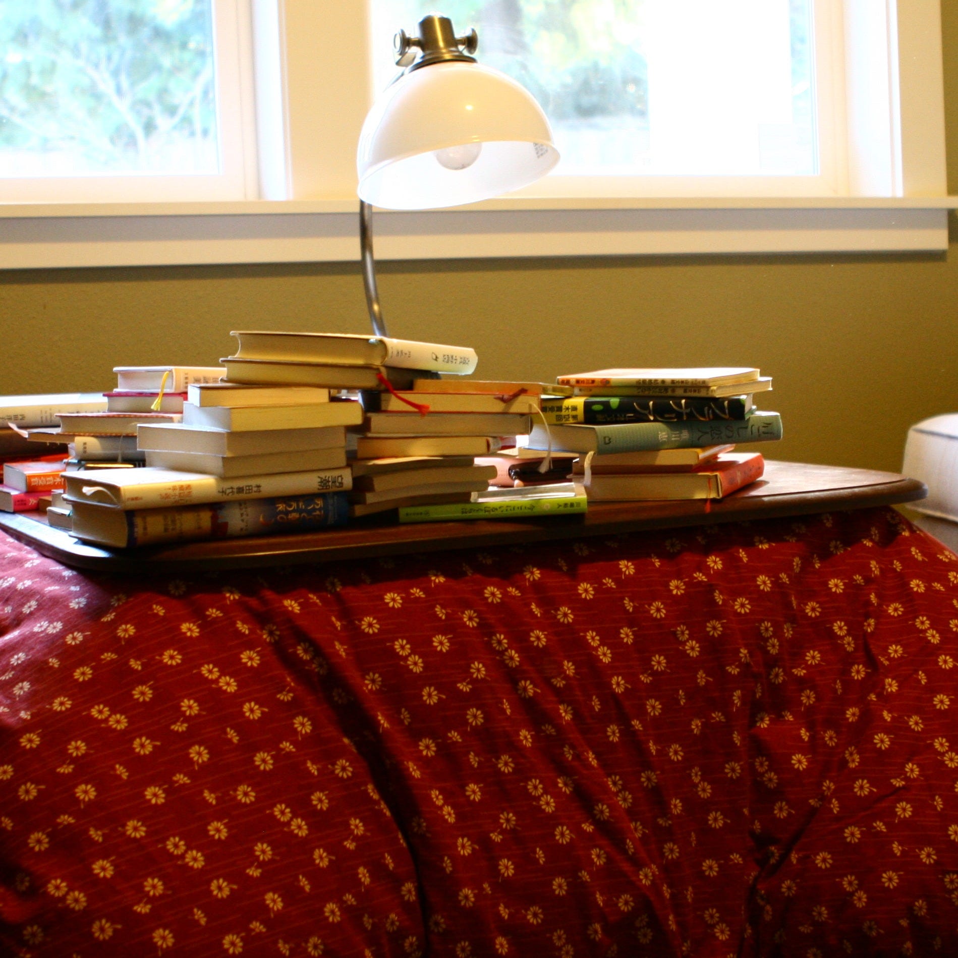 Erika Tsugawa | Substack