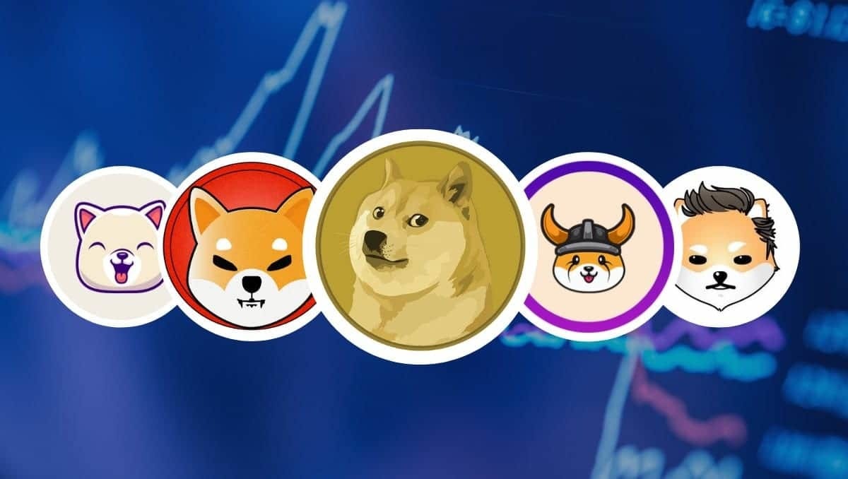 crypto memecoin analysis
