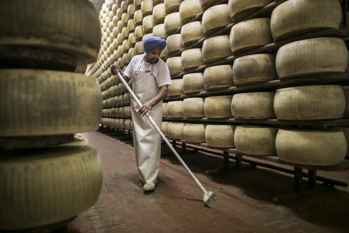 How Sikhs Saved The Italian Cheese Industry
