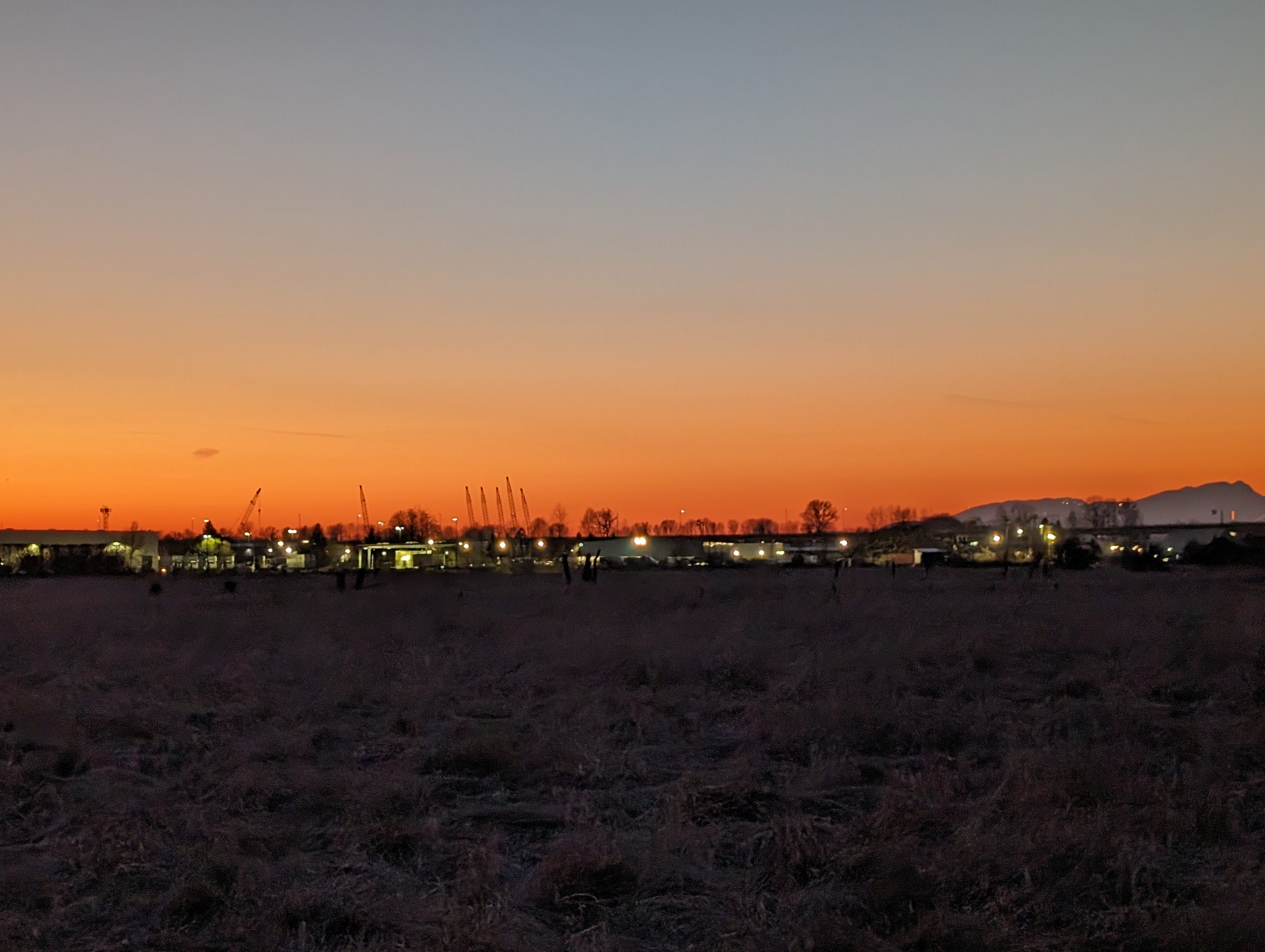 The Archeologist - by Kevin Brash - A thin read.