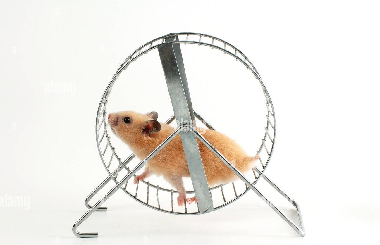 The Hamster Wheel of Conditional Self-Worth
