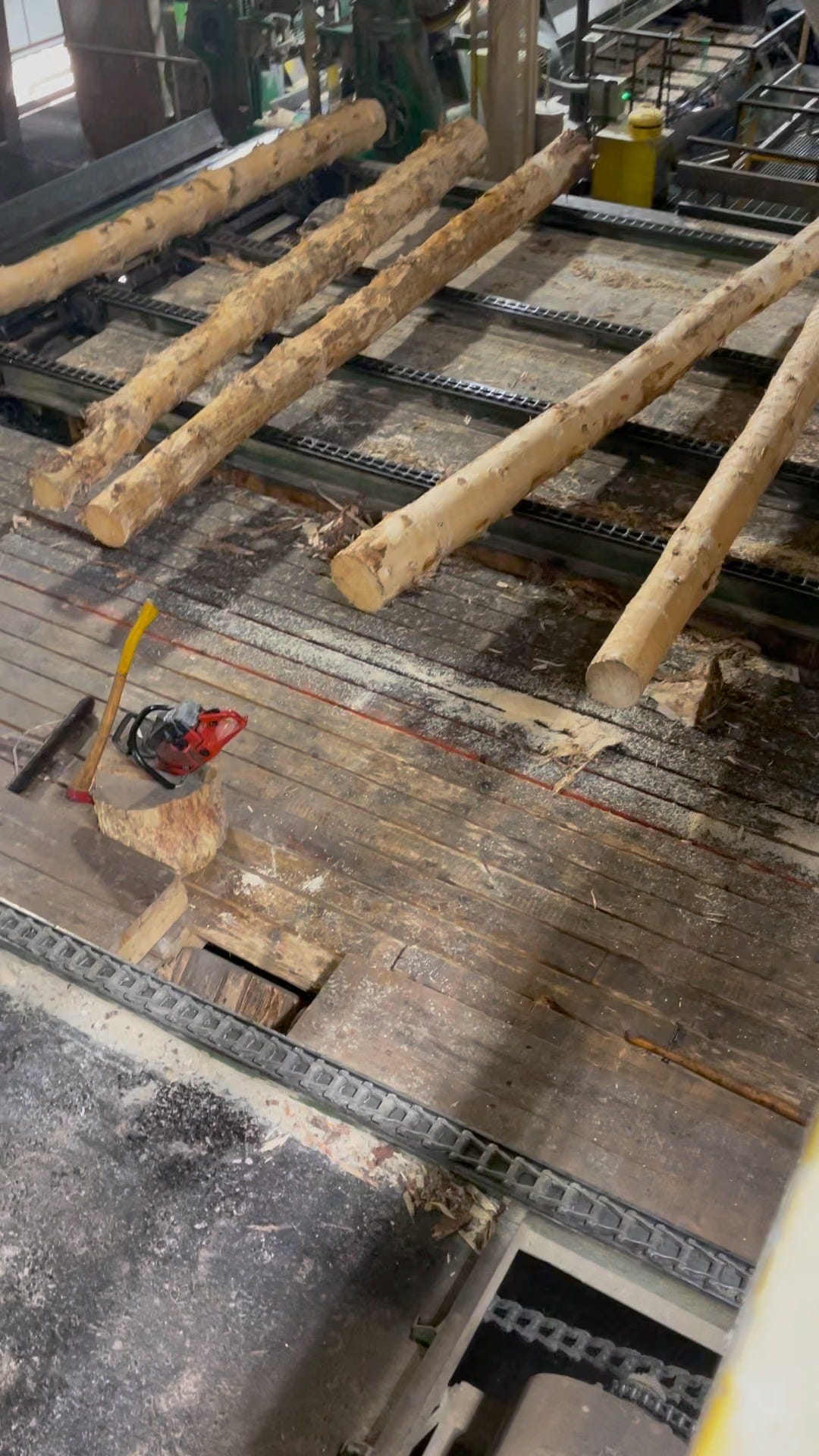 A Visit to The Sawmill - by Jeffrey Carter