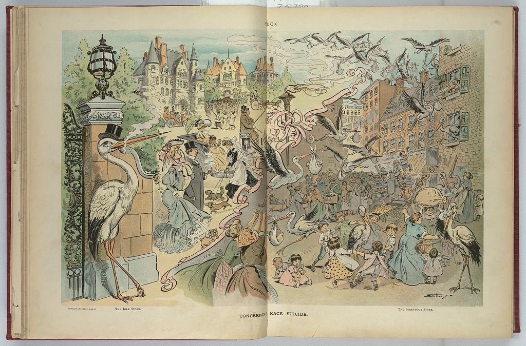 The Autonomy | Gillian Branstetter | Substack