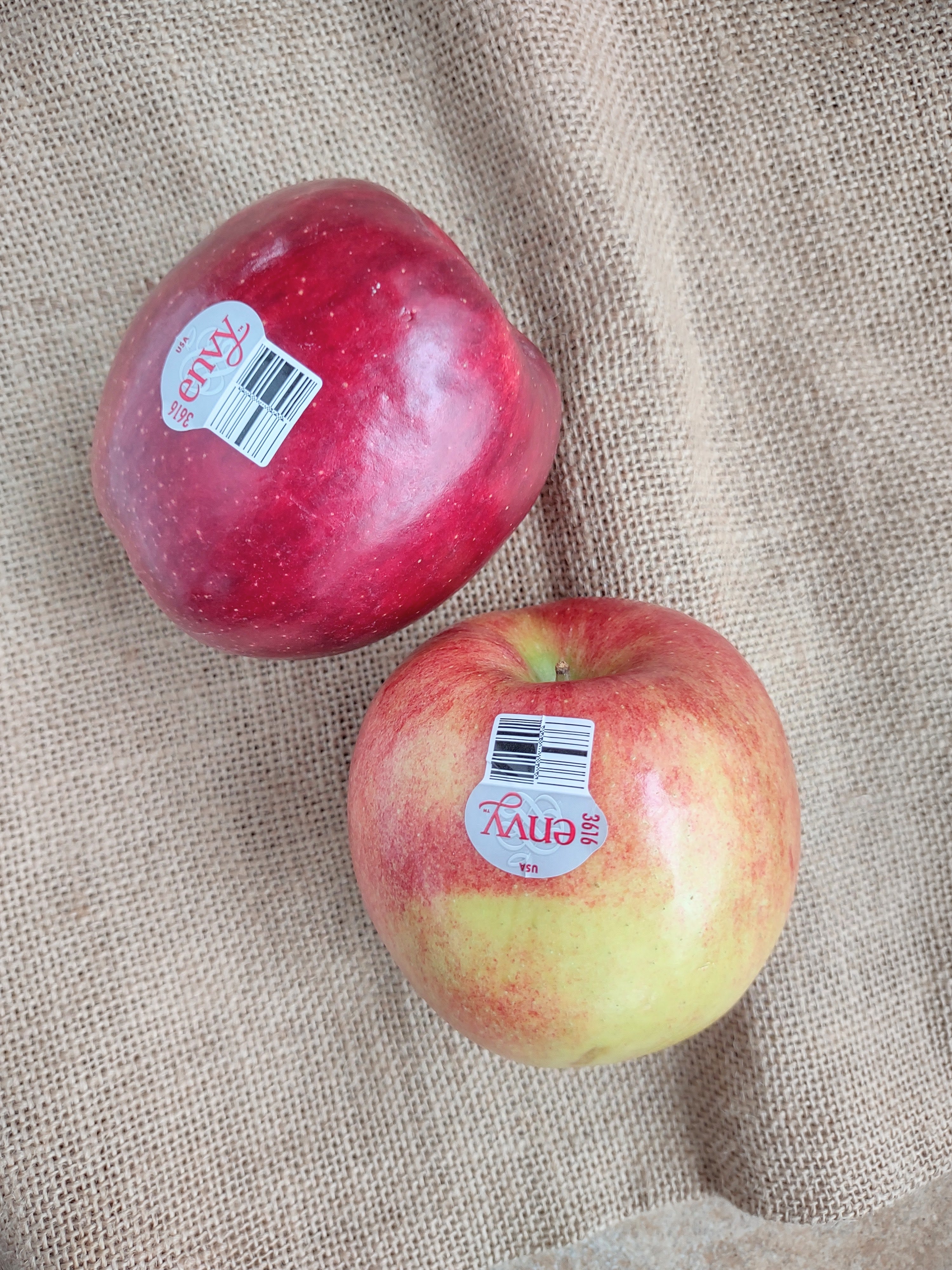 How to Pick Envy Apples - What Apple to Eat Today