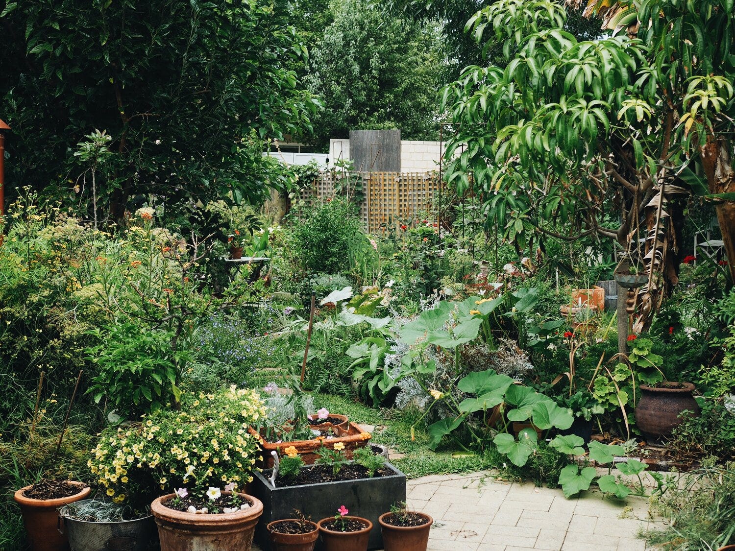 7 habits of great gardeners - by Casey Lister - lofi life