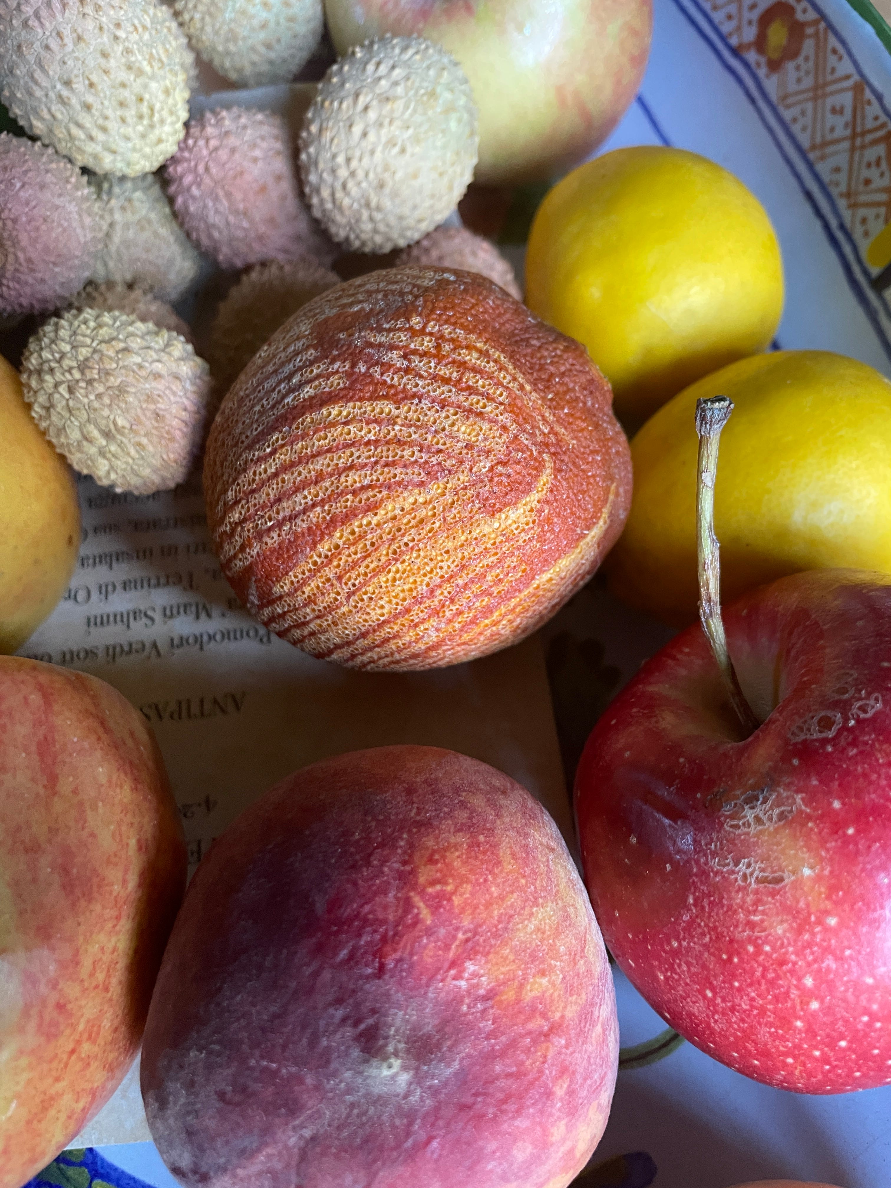 Dried Citrus - by Paul Bertolli - Notice!