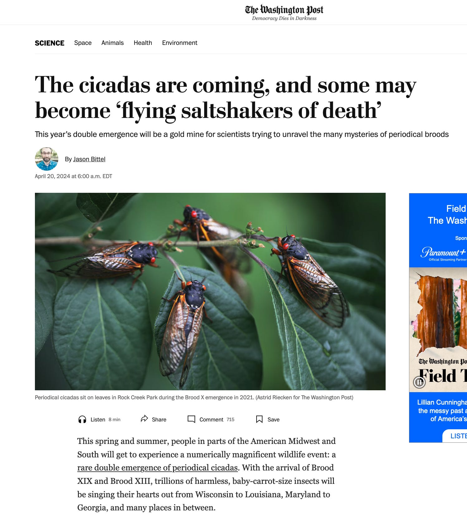 Meet the New Species of Tiger-Cat - by Jason Bittel