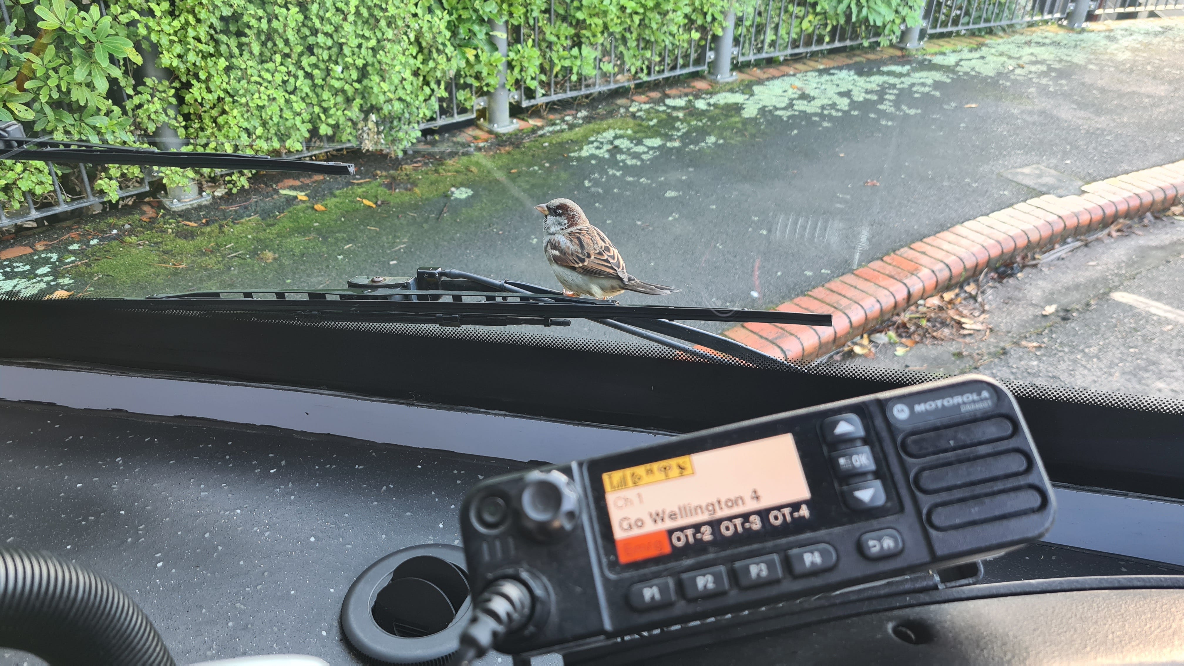 009 - Training is over - by Alan Doak - Thanks, Driver!