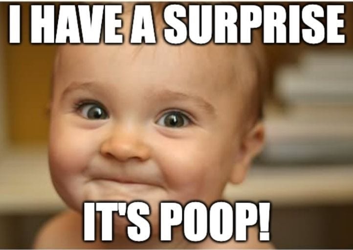 With Fart And Poop Comments, Trump Campaign, Ted Cruz Usher In Feculent ...