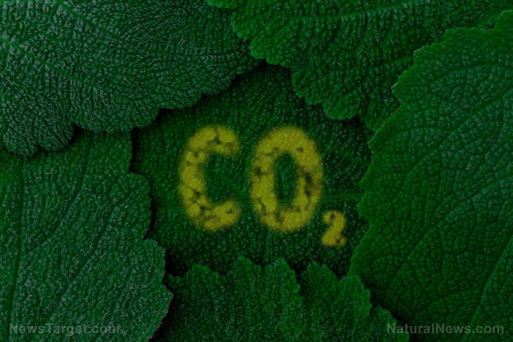 Ο Φυσικός Freeman Dyson Εξηγεί Γιατί Η Αύξηση Του Διοξειδίου Του ...