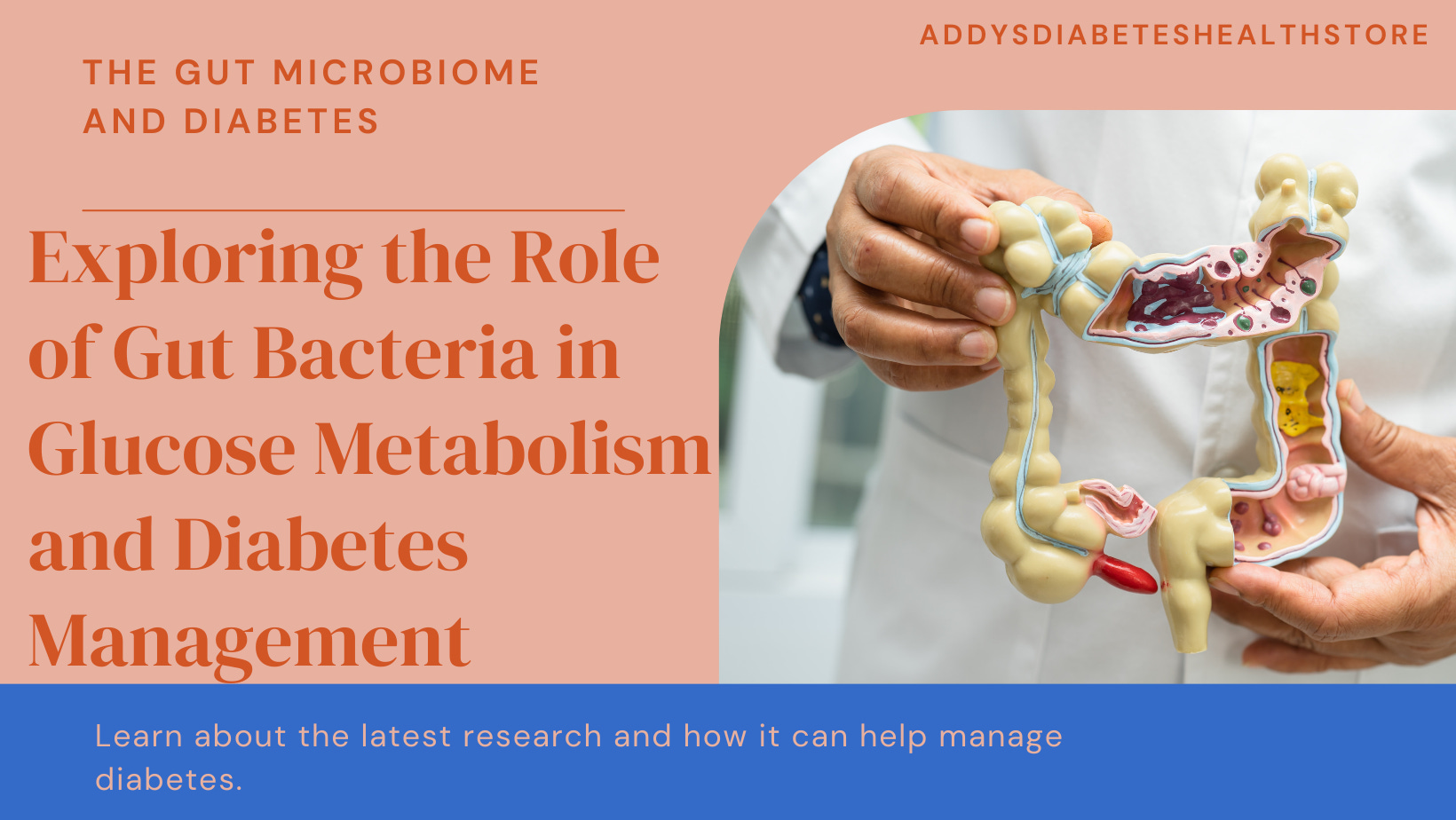 THE GUT MICROBIOME AND DIABETES: EXPLORING THE ROLE OF GUT BACTERIA IN ...