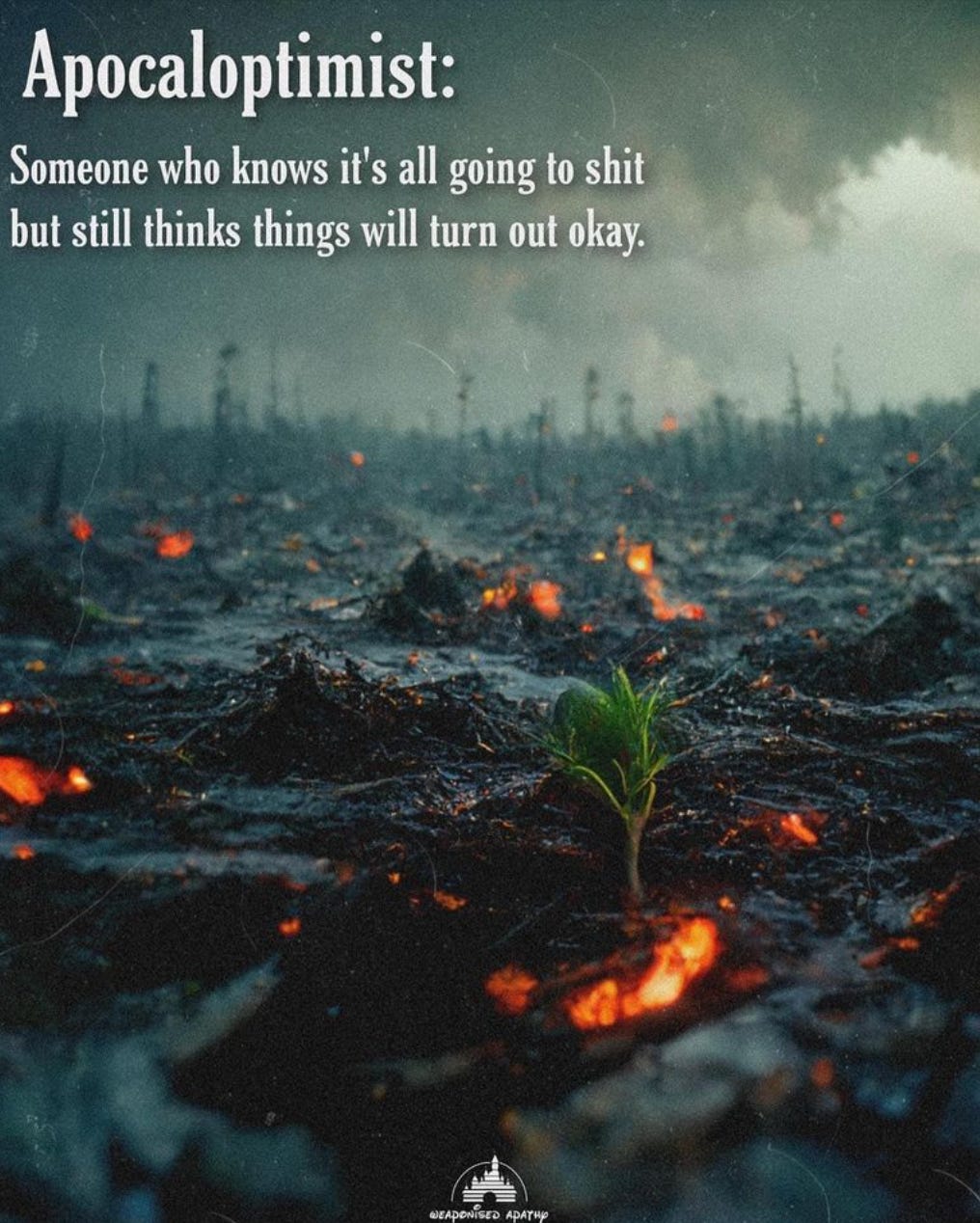 Against Defeatism: The Apocaloptimist Manifesto - Real Left