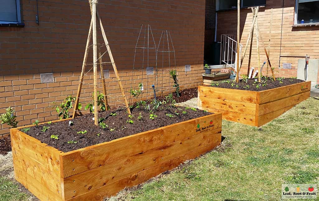 What Size Should Your Vegetable Patch Be?
