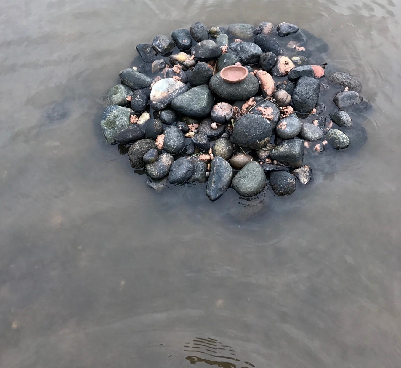 not a pretty sight - by India Flint