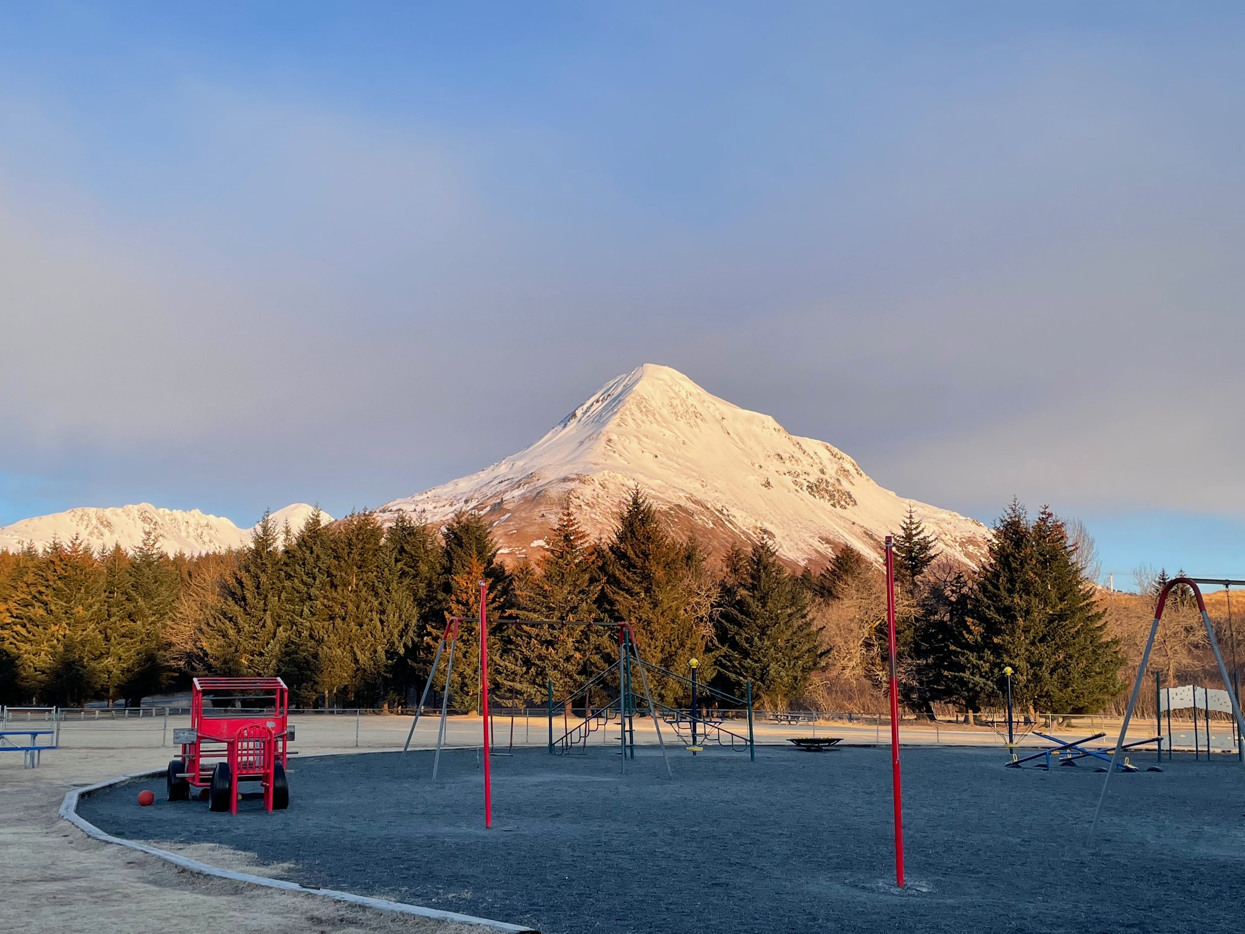 Puffin Weather - by Damon Hargraves - Puffin Press