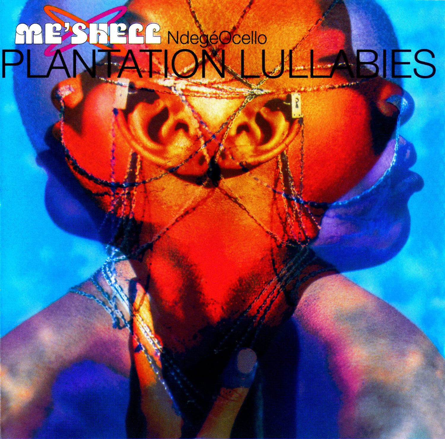 Retrospective Review: Plantation Lullabies by Meshell Ndegeocello