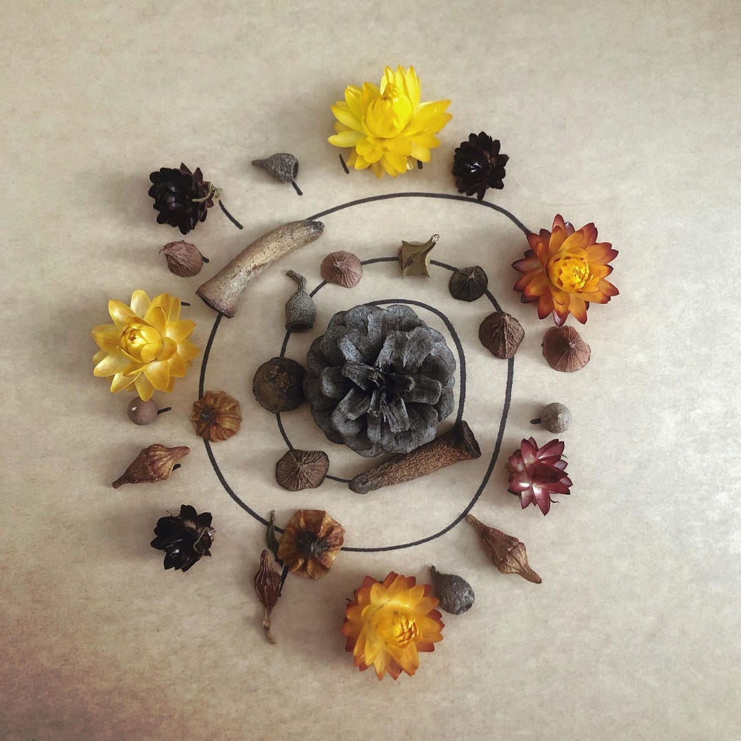 Nature Tracing Mandalas - Kendall Dodson