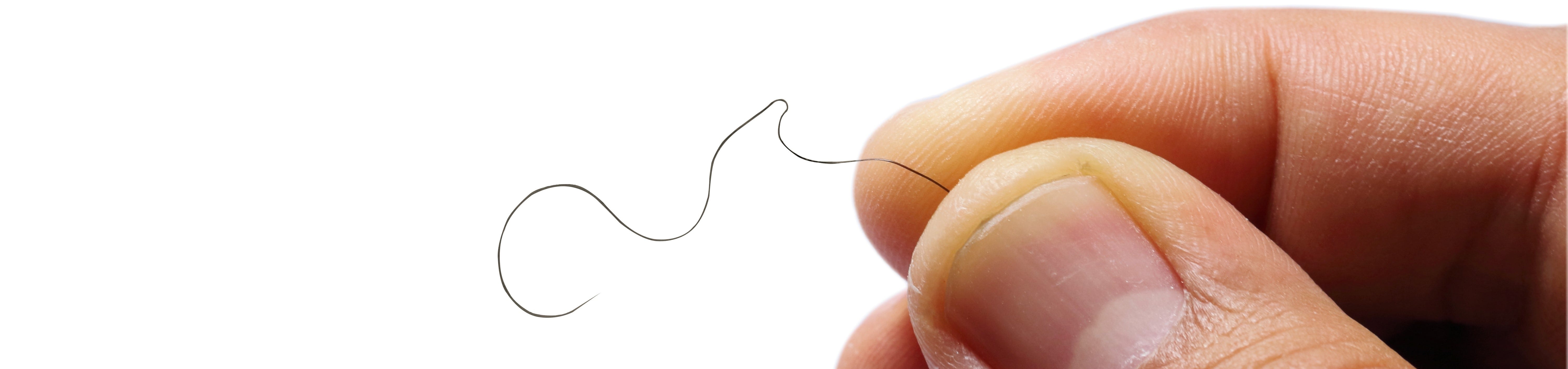 The Suspension of Disbelief