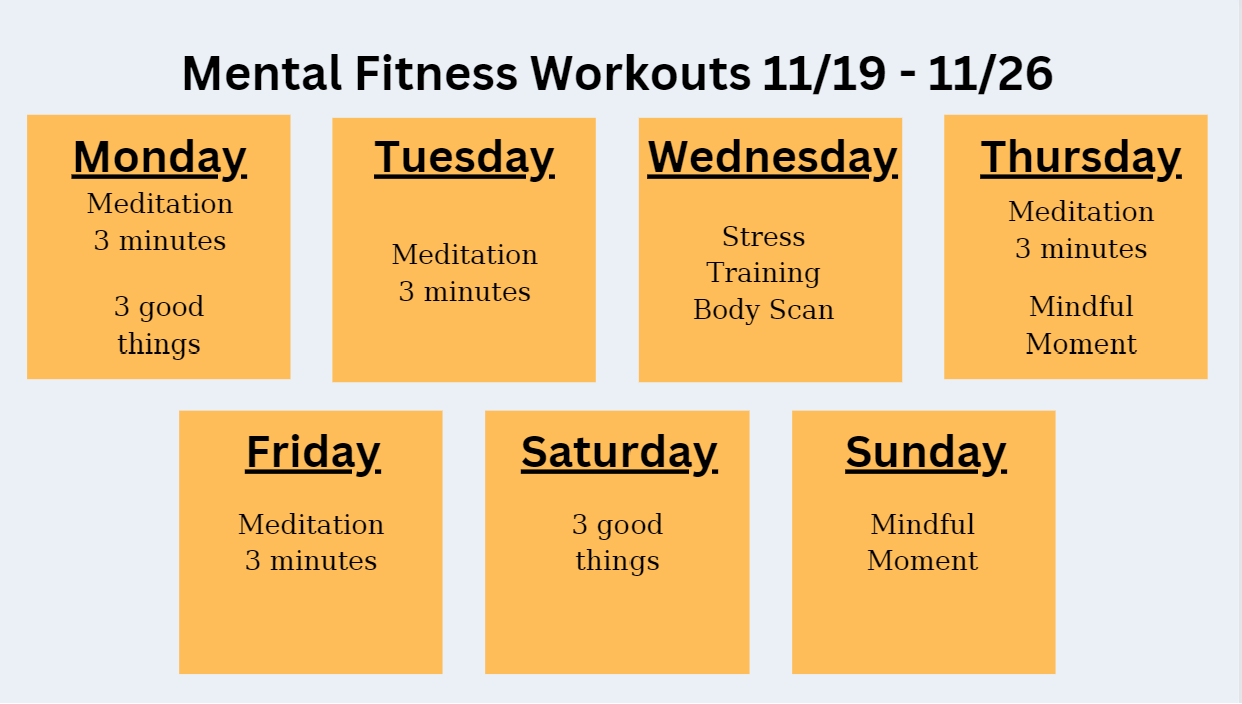 Mental Fitness Workouts - by Ryan Ford