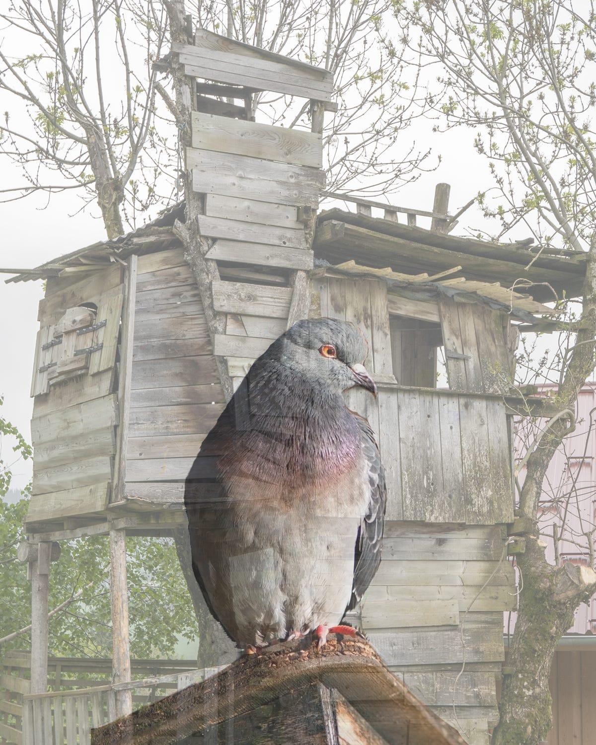 From Hollywood to the Hills - by Darby Lee Patterson