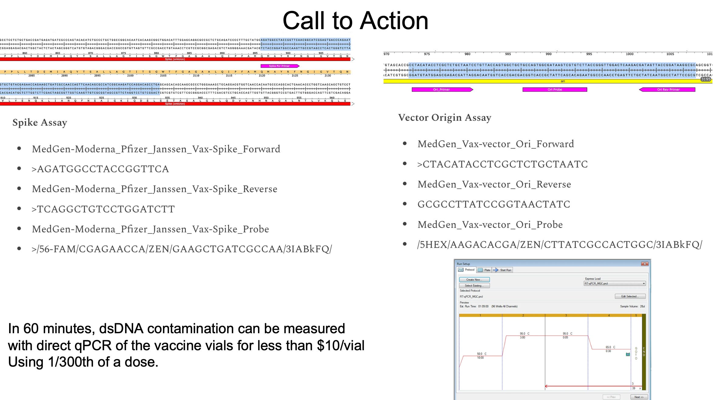 Independent Sanger Sequencing verification of plasmid amplicons in BNT162b2