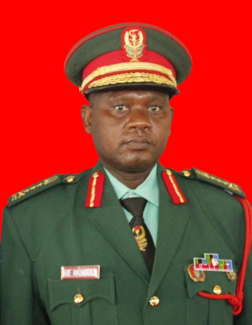 Intel brief: Tanzania's CDF Gen Mabeyo to retire end of this month, CoS ...