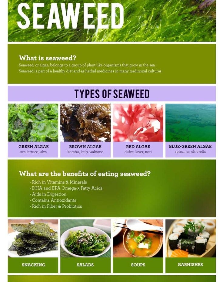 Regenerative Ocean Gardening, Kelp Farming and Marine Permaculture