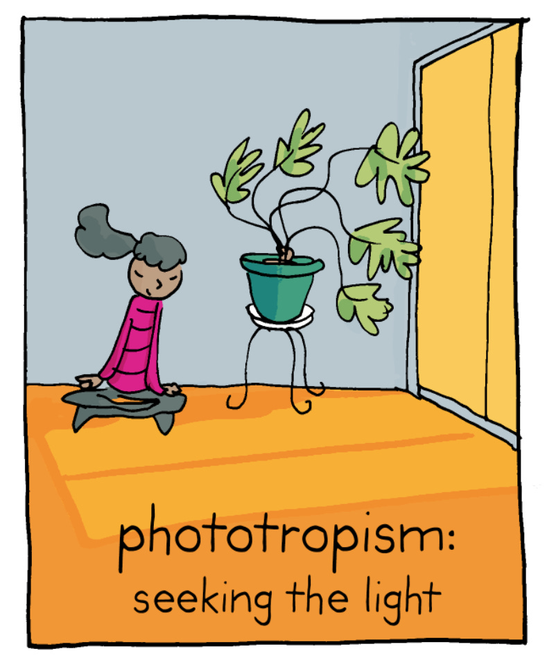 Brilliant Words - by Grant Snider - Incidental Comics