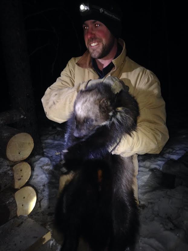 Trapper - by Tyler Dixon - Wild Jobs