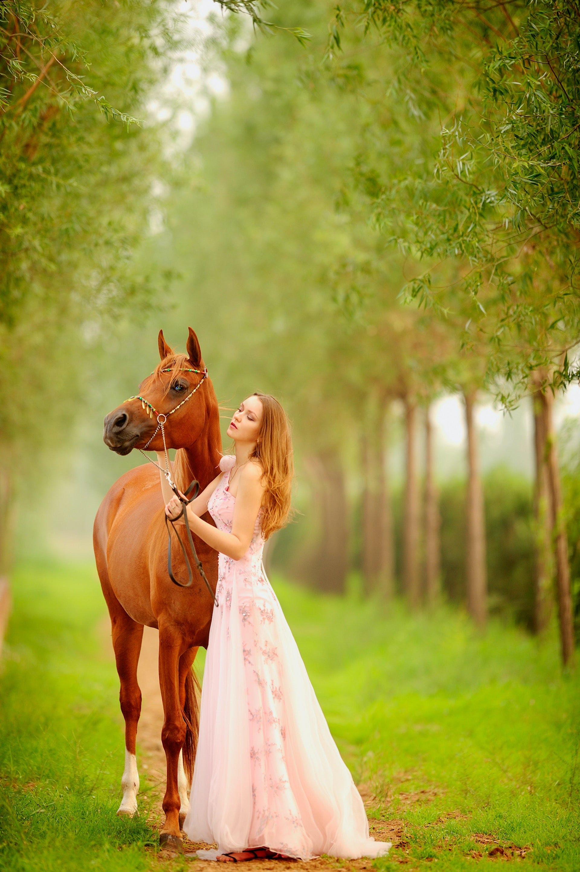 Was I Enchanted To Meet You Or Did I Imagine The Sparks Fly Was I Enchanted To Meet You Or Did I Imagine The Sparks Fly