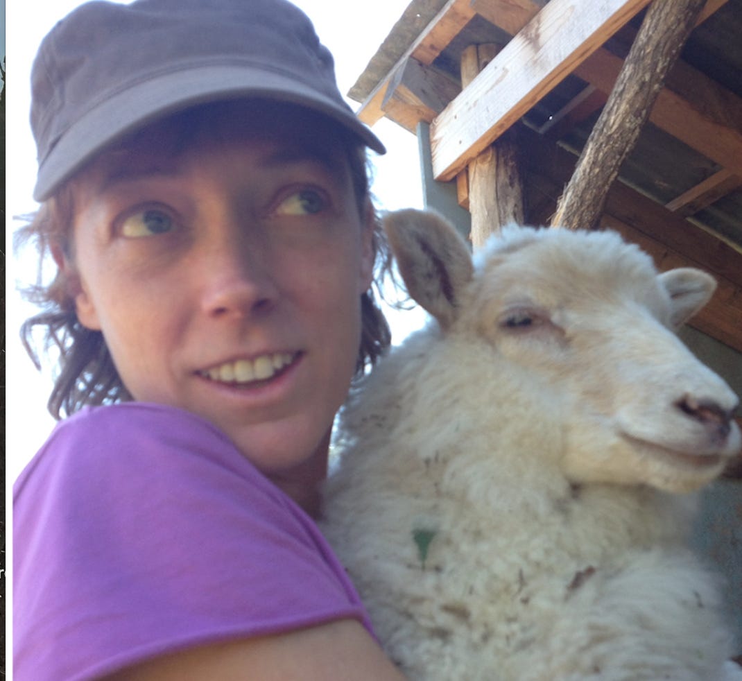 Larissa Phillips | Substack