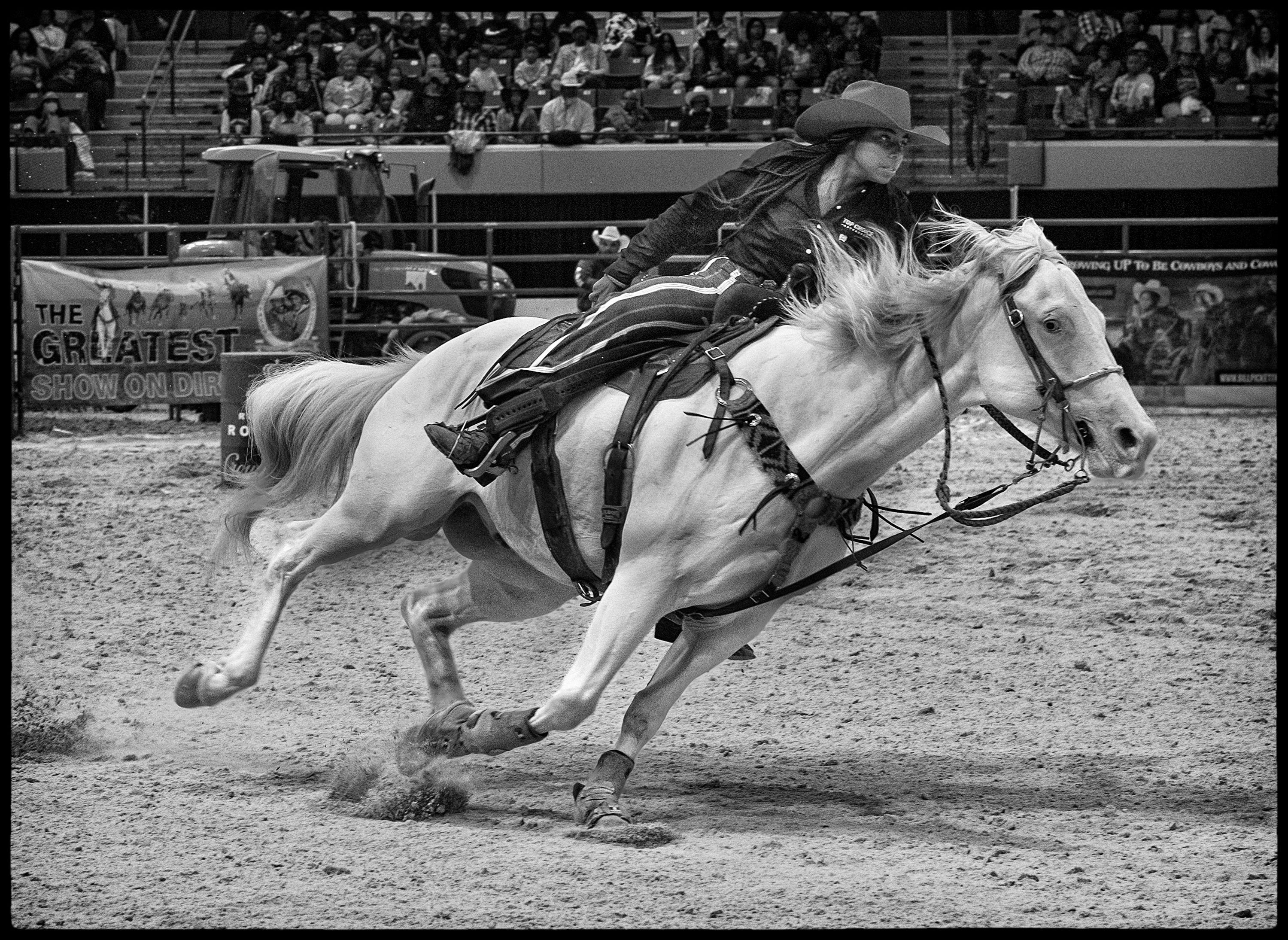 The Original Cowboy, An American Institution Series part 2