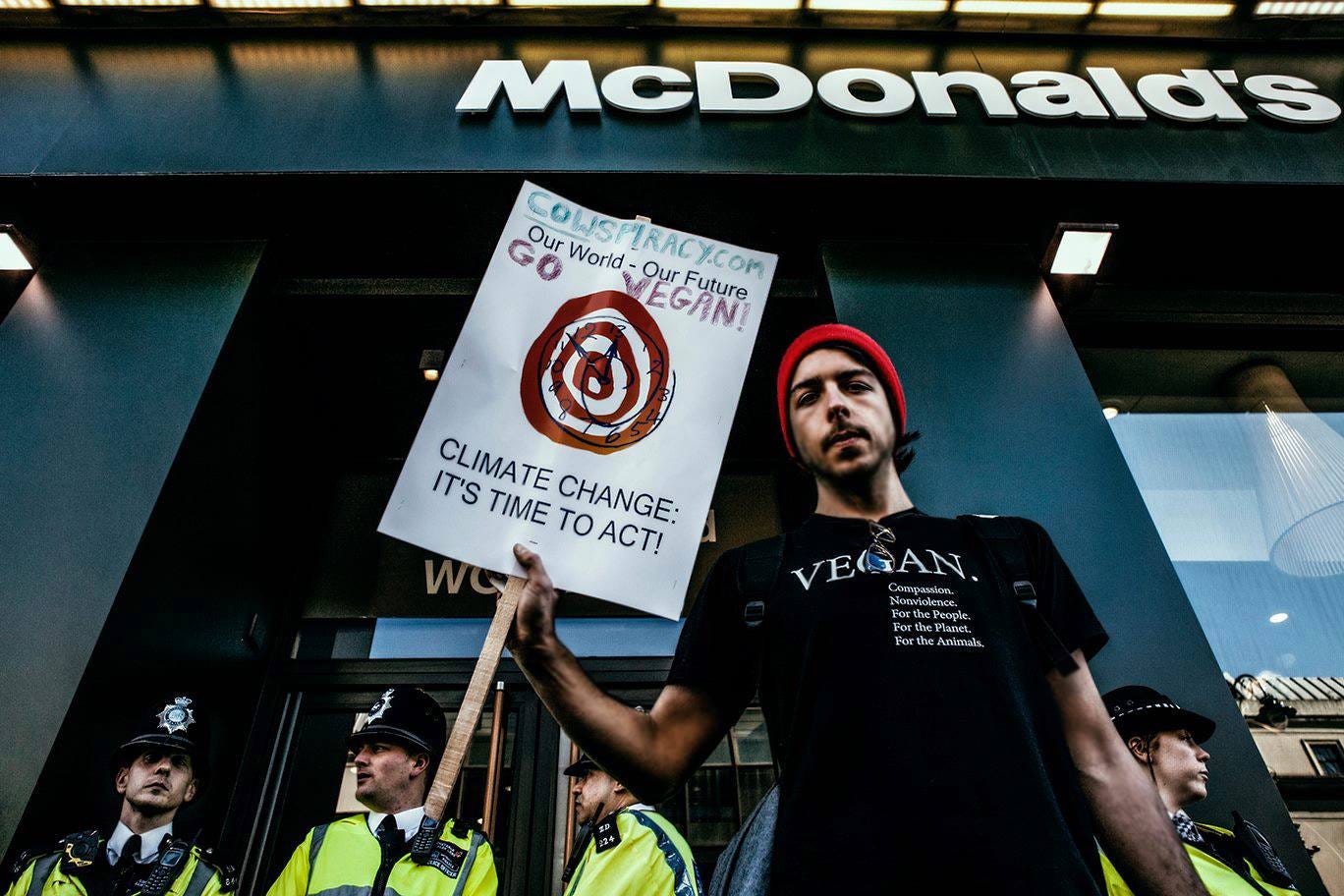 The Vegan Lie: What I Discovered After 13 Years Inside the Movement