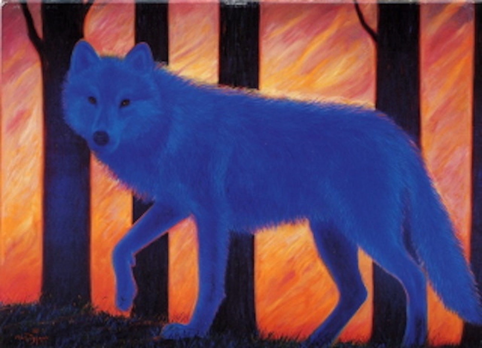 James Don BlueWolf | Substack