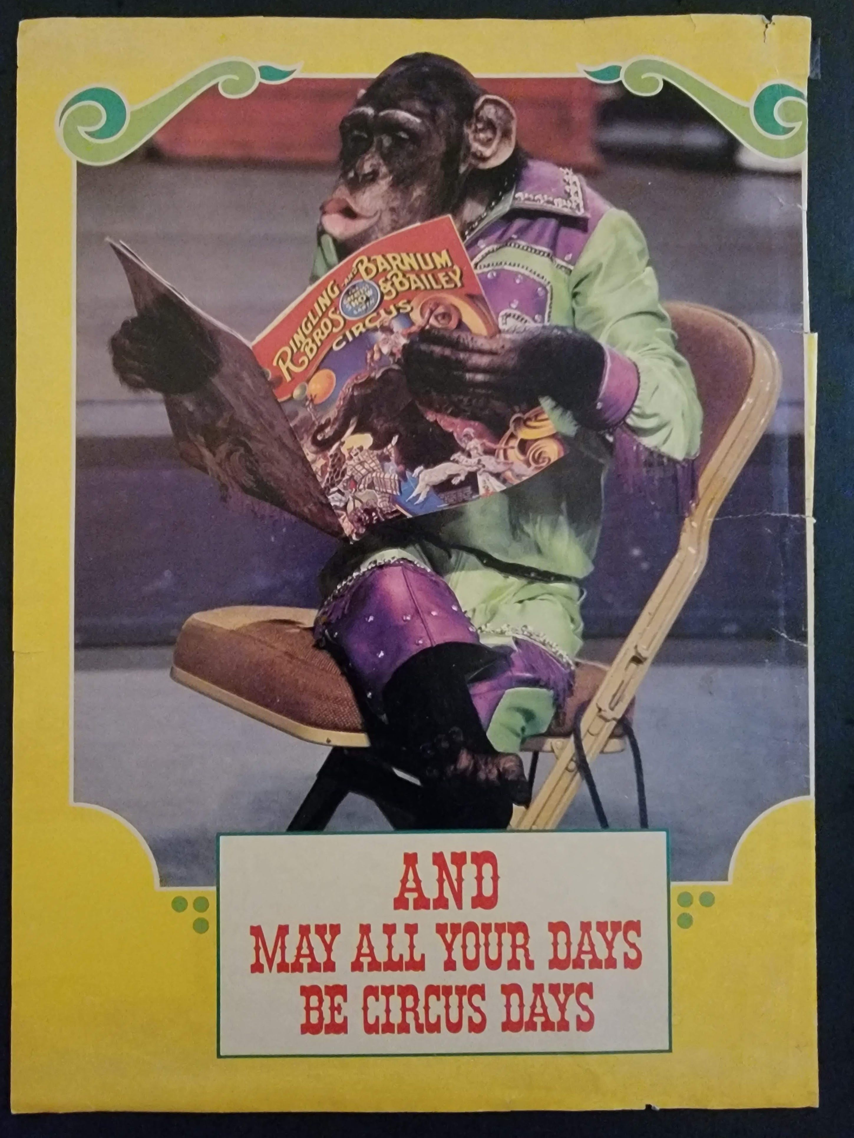 Circus days - by James Sigman - A Trifle Further