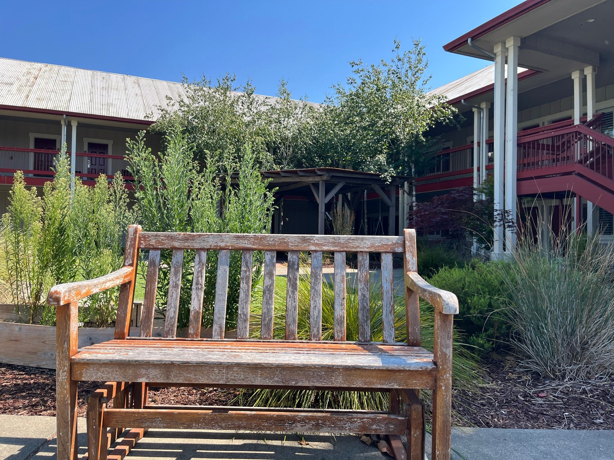 How long will Elderberry Commons be empty?