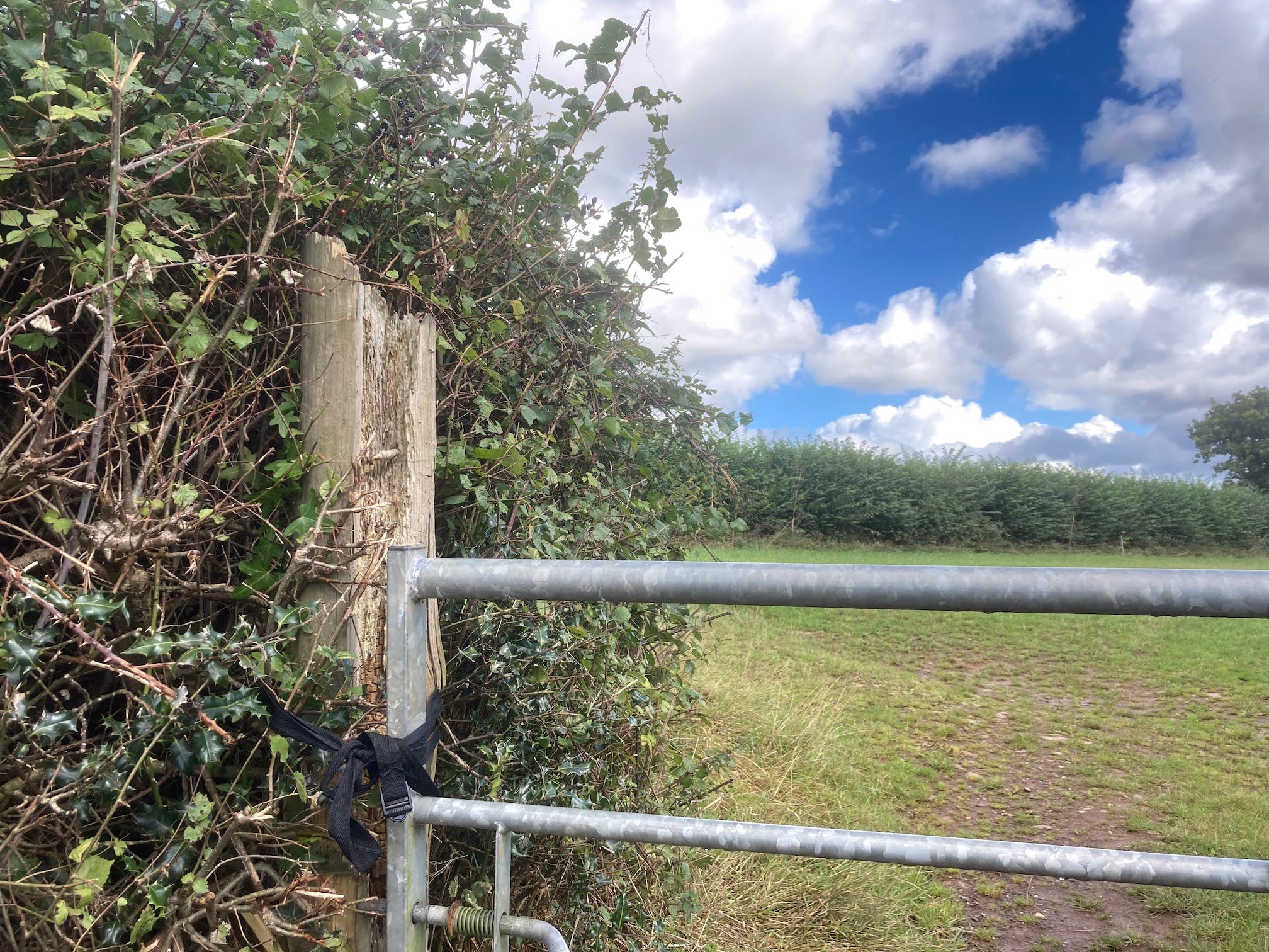 The broken sign: conflict as misdirection. - Max St John