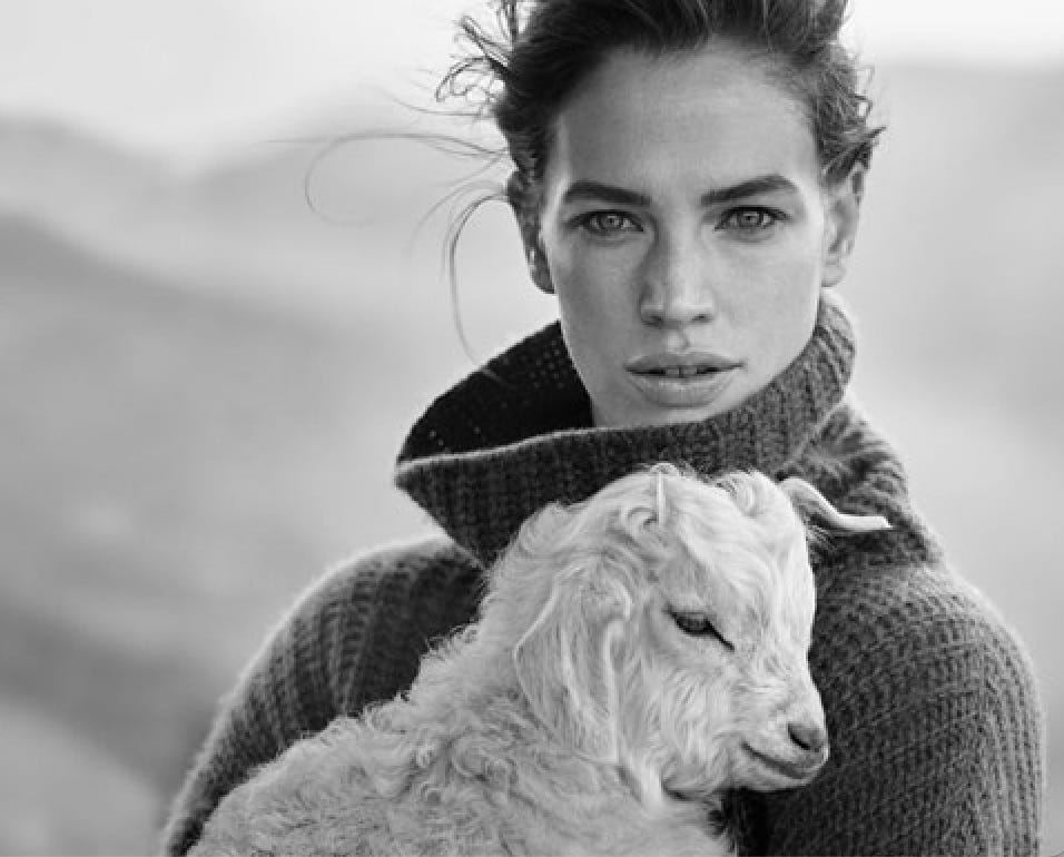 The Most Expensive Wool in the World
