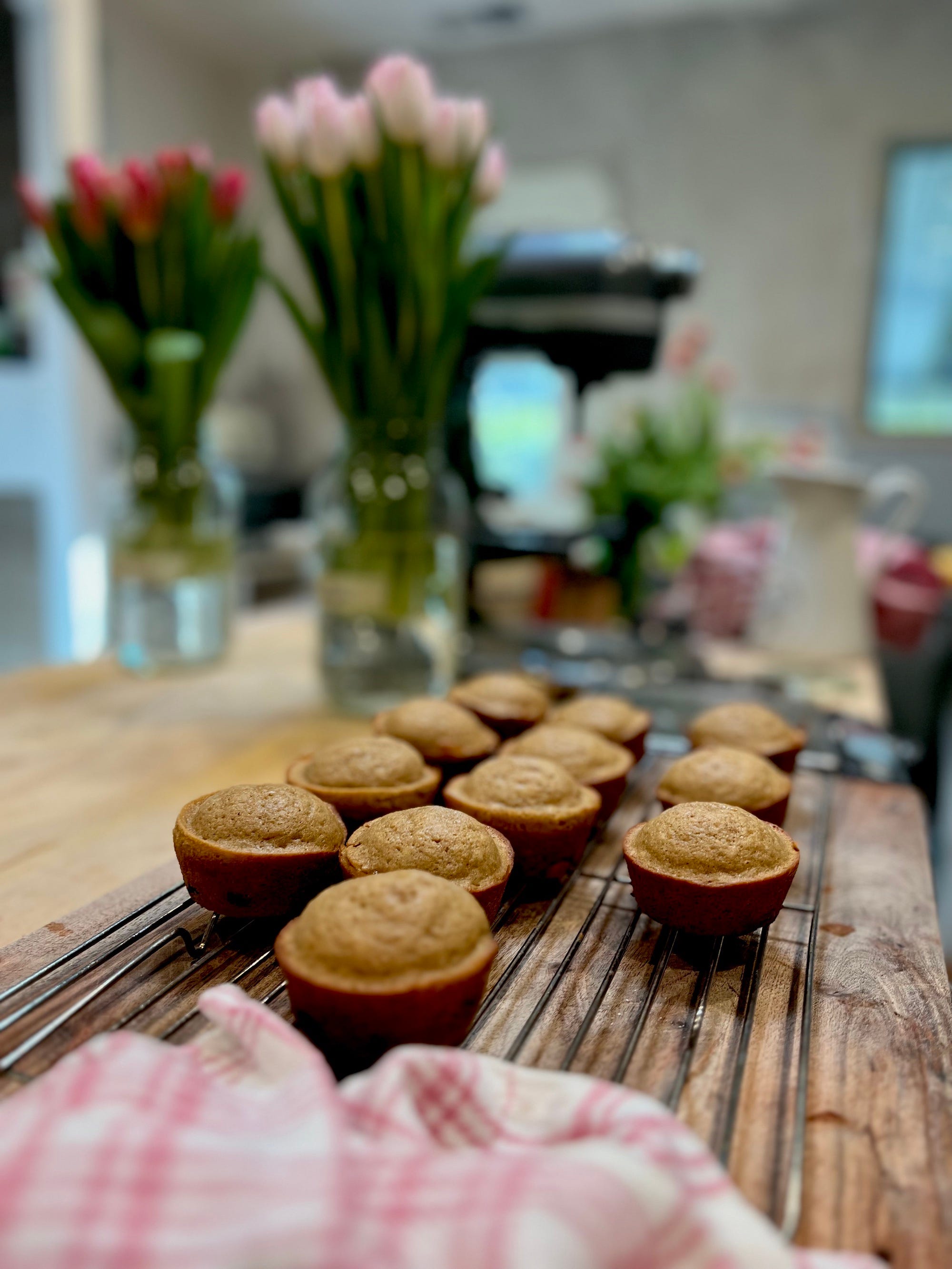 Peter Rabbit Dinner, in depth