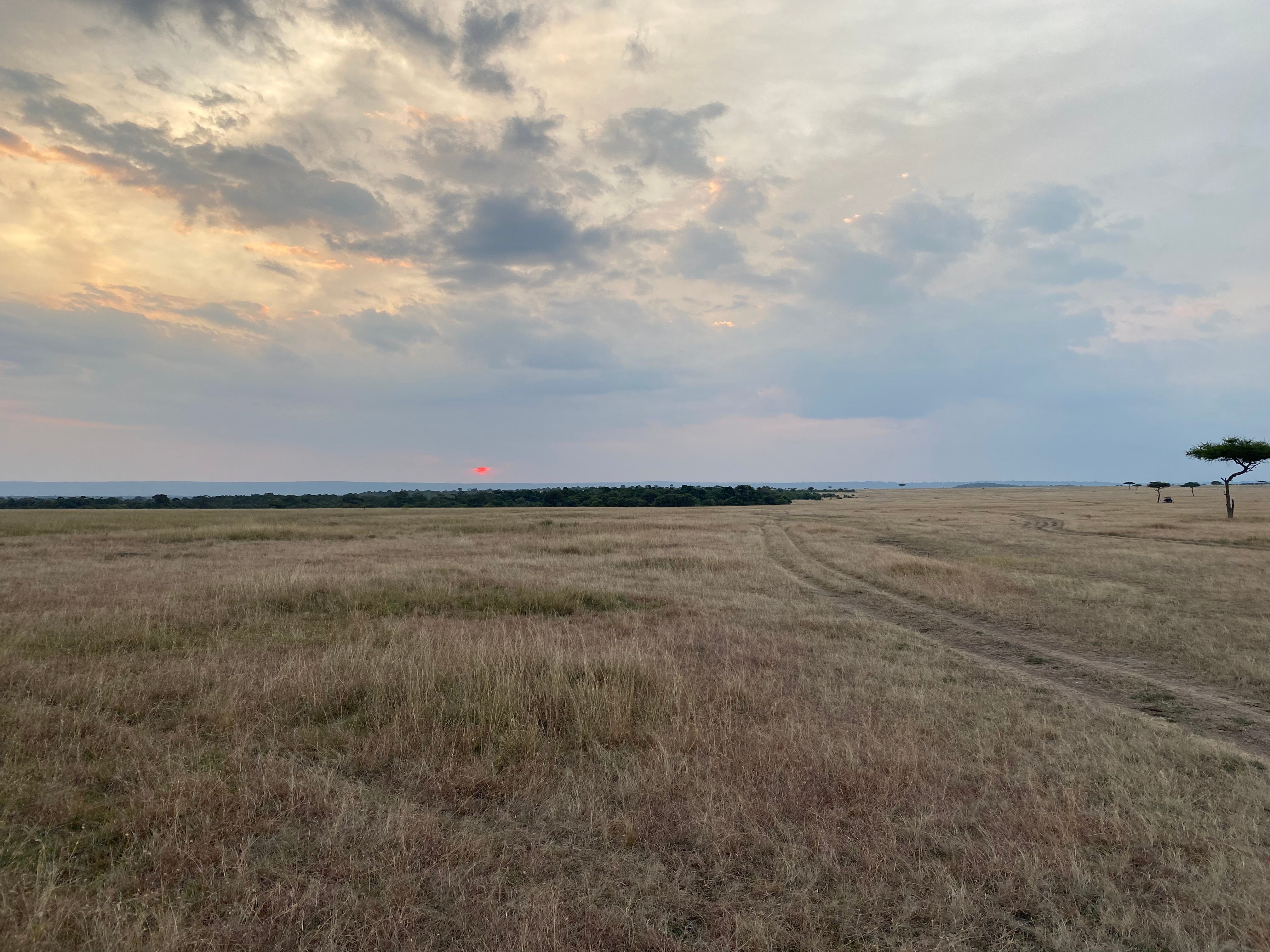 Keeping Track - by Joy Stark - Joy Meets World